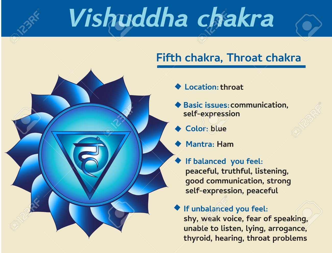 Chakra study